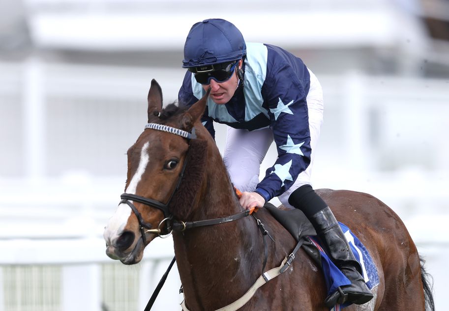 Jim Boyle suffers blow with freak fatal injury to stable star Bad ...