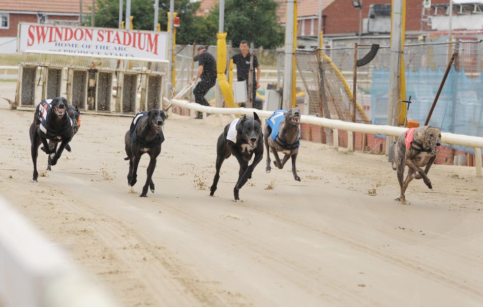 Sad day as Swindon finally bows out | Racing Post