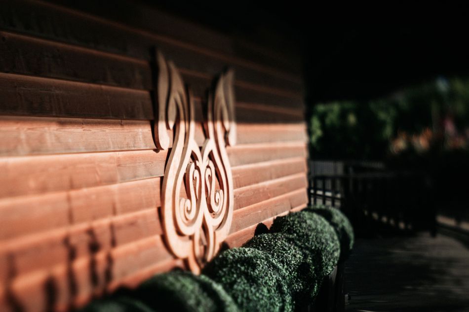 Search on for next Group winner as Arqana's November Yearling Sale ...