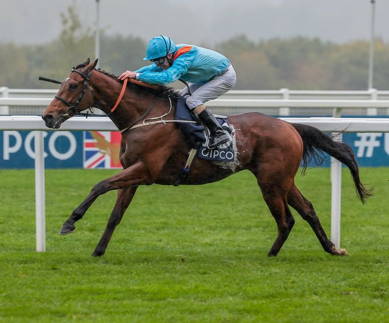 'I was never in any danger' - front-runners rule supreme as The ...