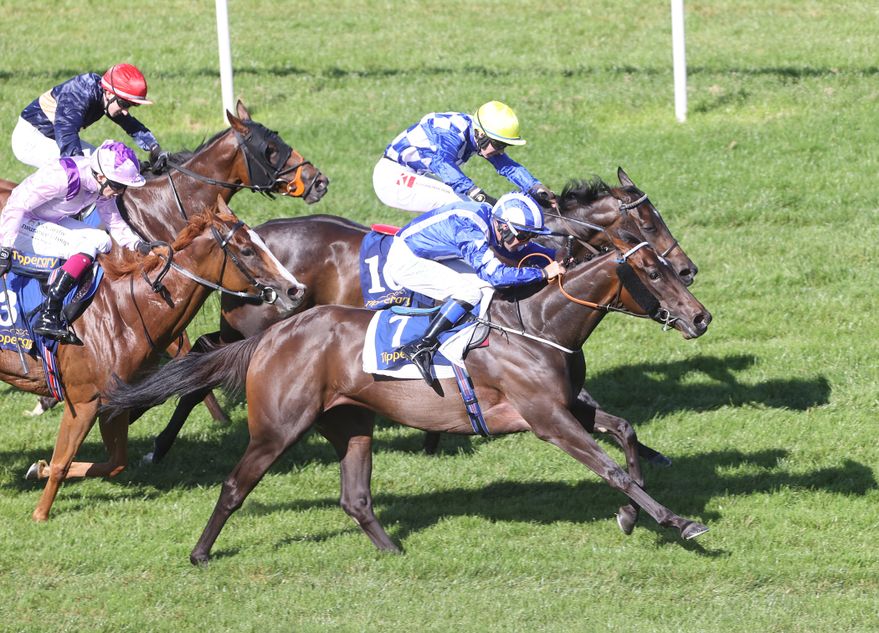 'Tough as nails' Clever And Cool cut for Matron Stakes after Fairy ...