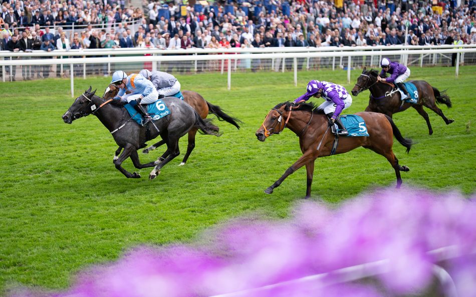 'She will definitely go to Ascot' - Listed one-two for juvenile ...