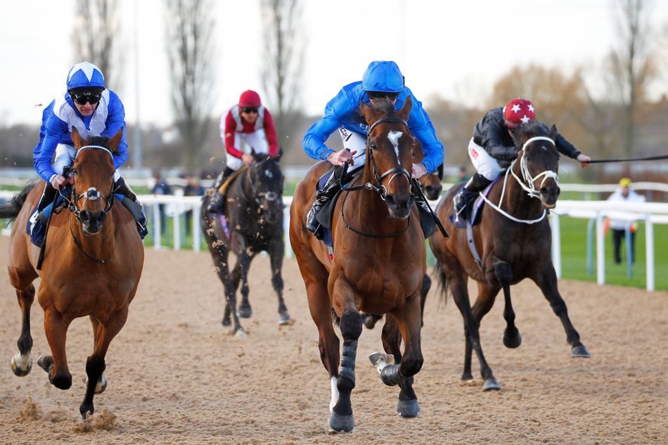 'We're hoping to use this as a springboard to have a pop at a nice race ...