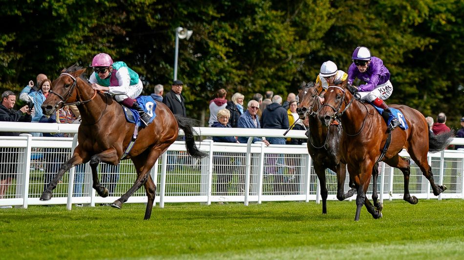 'I just felt she wasn't quite ready' - Ralph Beckett nominates new ...