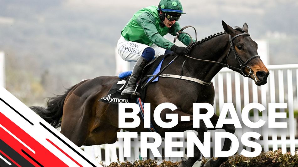 Big-race trends: the key statistics to help you find the winner of the ...