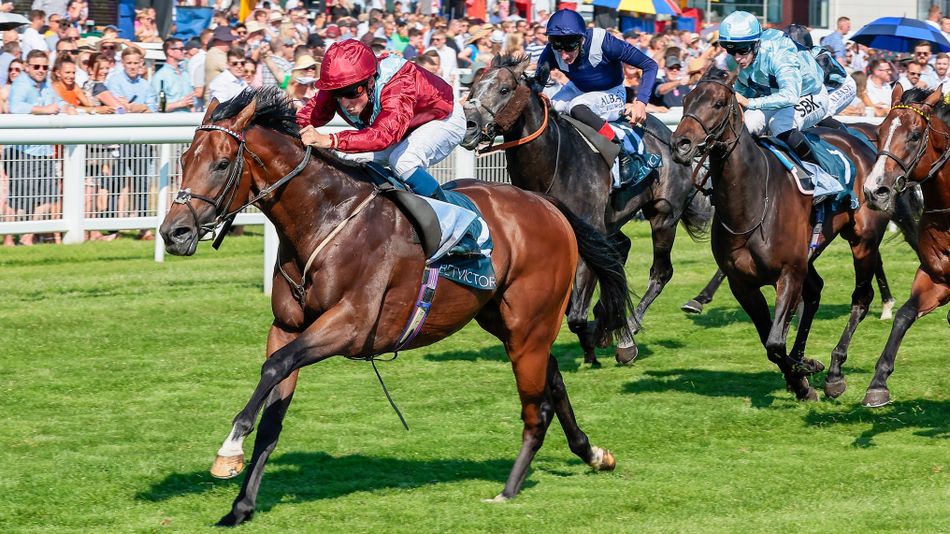 Eve Johnson Houghton: Jumby 'improving all the time' but ground key to ...