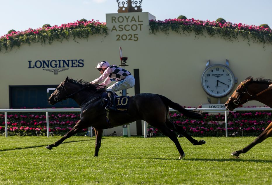 'A nice problem to have' - Eve Johnson Houghton weighs up options for ...