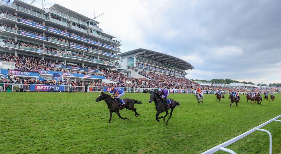 Auguste Rodin is the real deal but 16-1 Savethelastdance for the Arc is ...