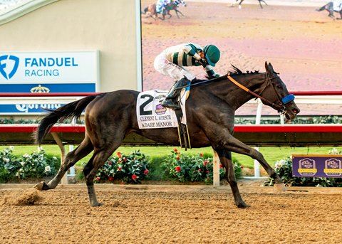 Multiple Grade 1 winner Adare Manor retired and to be offered at Fasig ...
