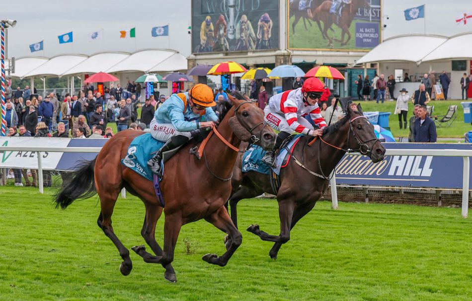 'He likes soft ground and has the cheekpieces back on' - who fancies ...