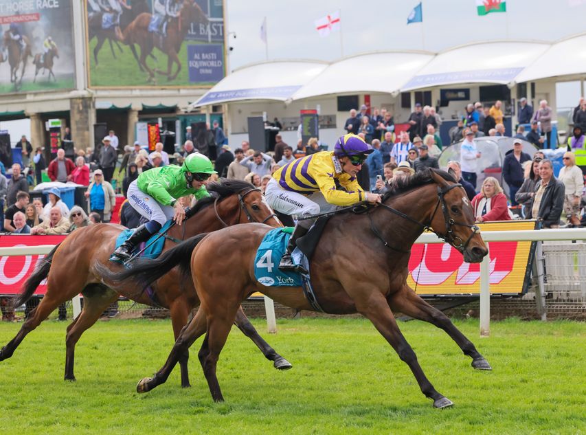 The Temple Stakes has become a proving ground for top sprinters - so ...