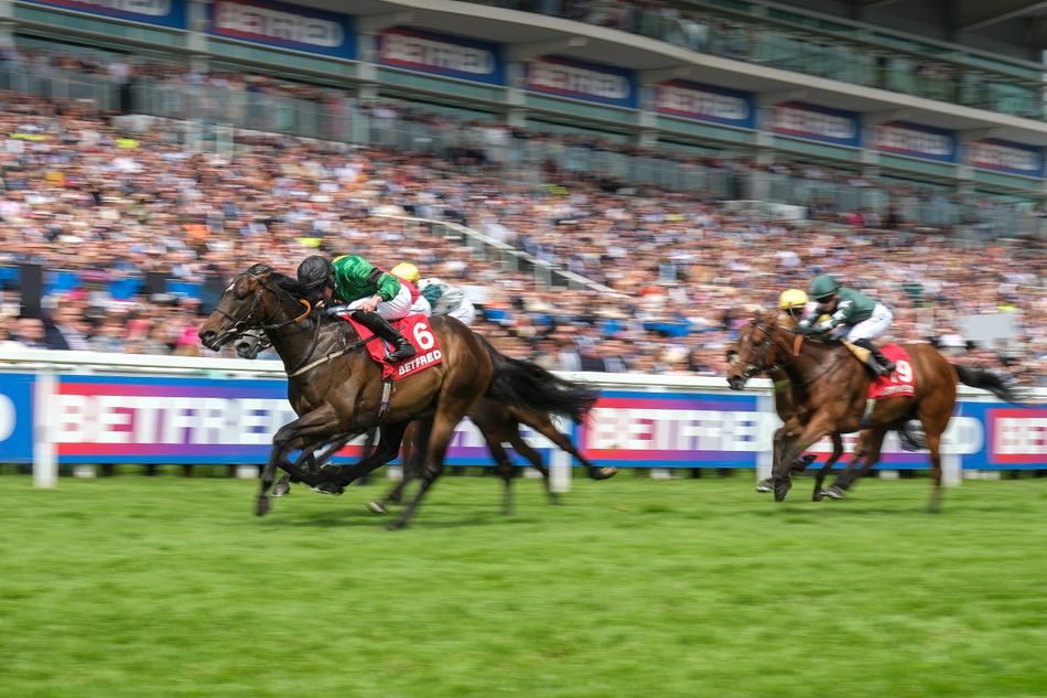 'It's exciting to be going there with a runner' - Gemma Tutty's royal ...