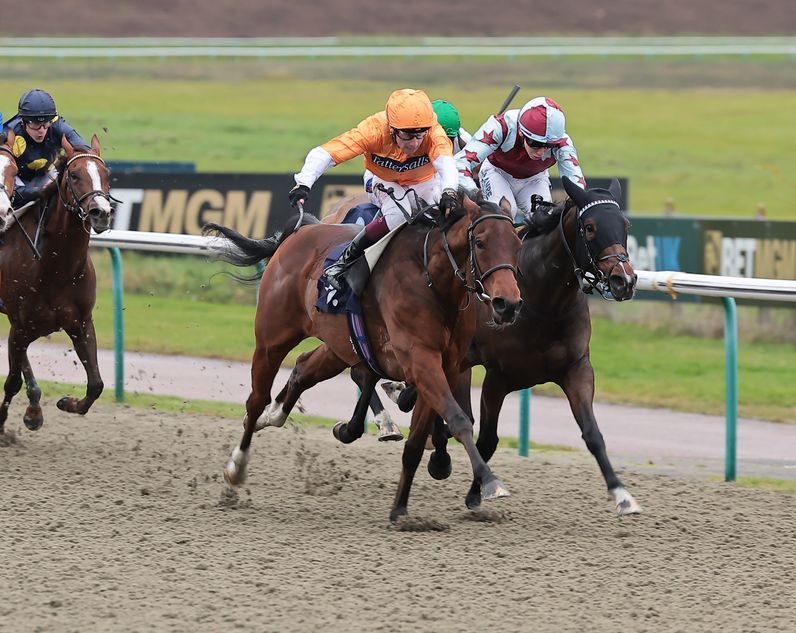 Can Wolverhampton winner Willem Twee continue James Fanshawe's fine ...