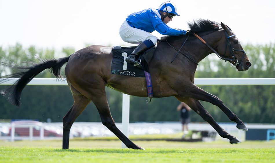 All so easy for Al Aasy with back-to-back Group wins in Geoffrey Freer ...