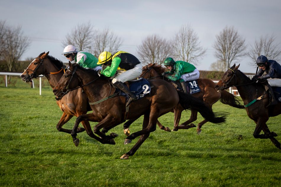 'I didn't fancy him' - 250-1 shock at Naas as trainer lands first ...