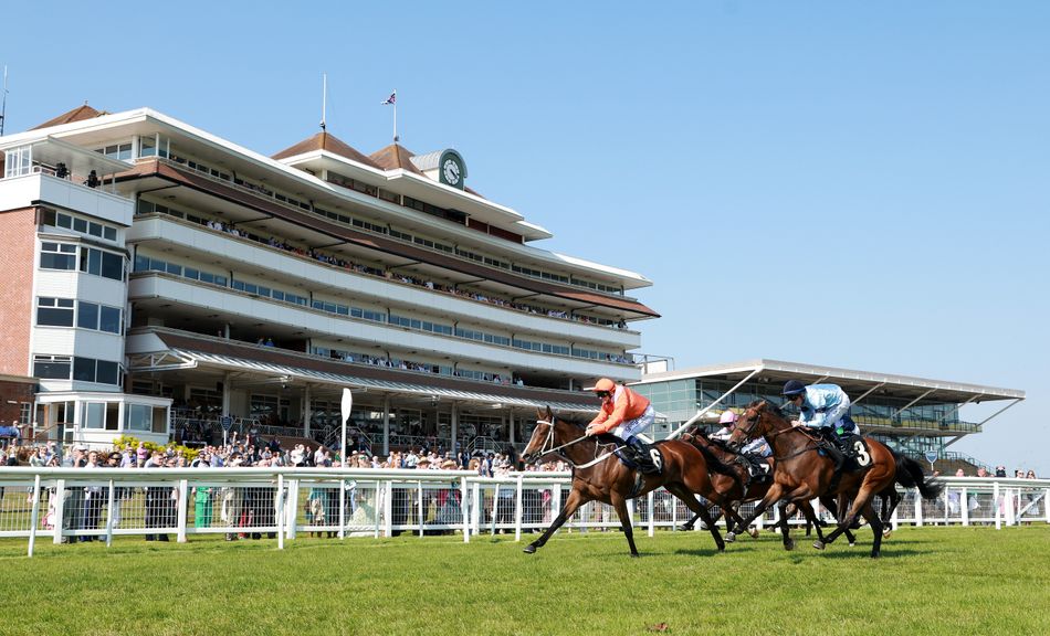 'We have to promote top-flight racing' - Newbury boss backs ...
