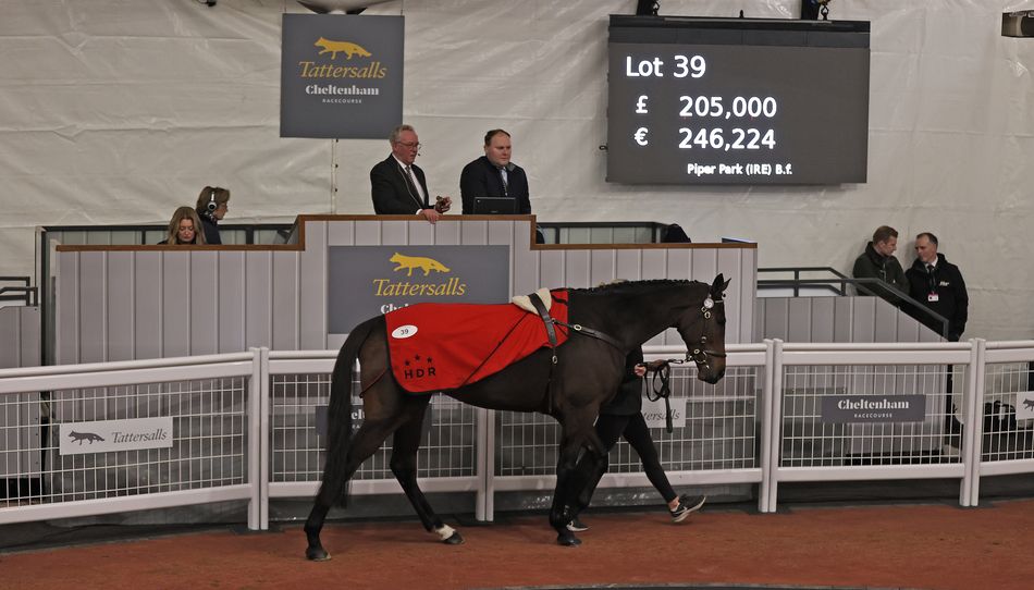 ‘I’m absolutely over the moon’ - Piper Park walks into profit at £ ...