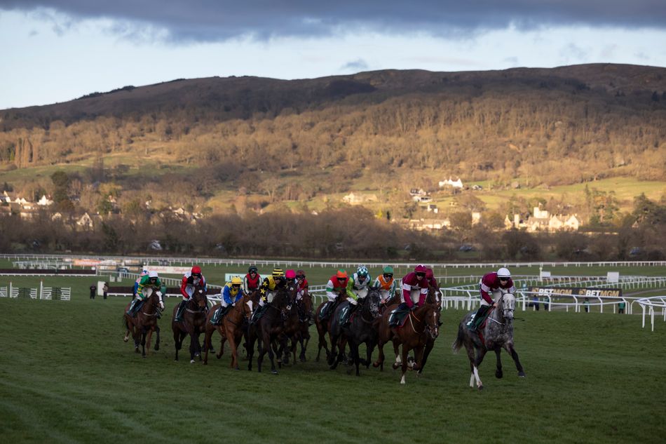 Cheltenham ground set to remain good to soft after track 'missed the ...