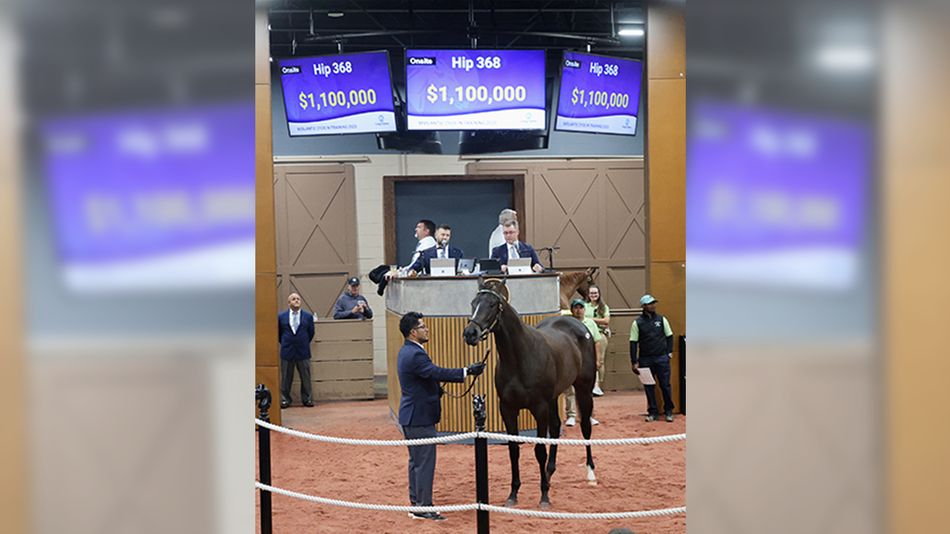 Amo Racing secures $1.1 million top lot at record-breaking Fasig-Tipton ...