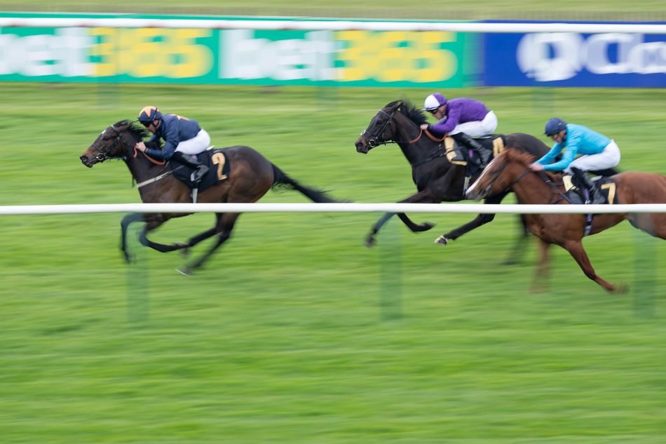 Tate team takes the eye at Tattersalls November Sale | Racing Post