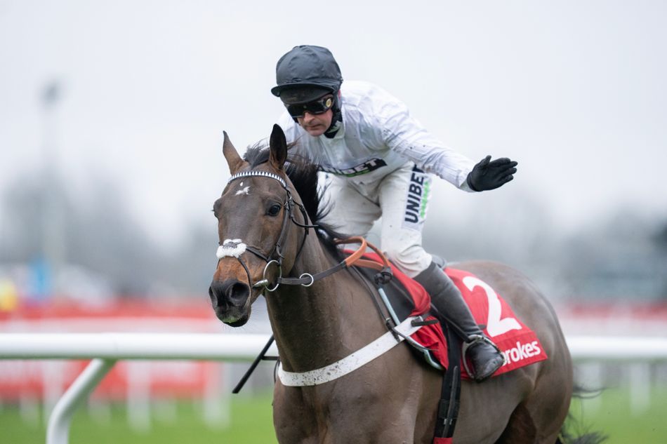 Constitution Hill given surprise Ascot Gold Cup option as entries ...