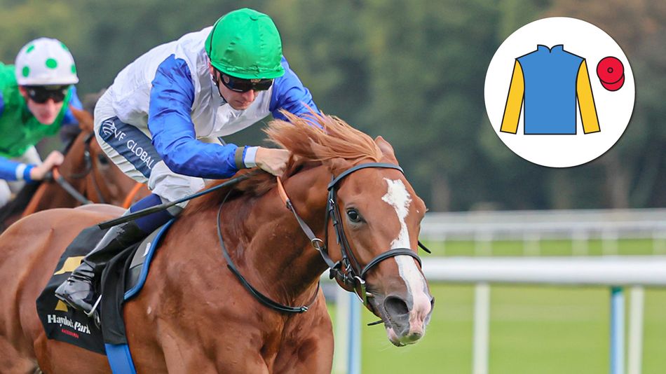 Wathnan make latest big purchase as London Gold Cup winner joins ...