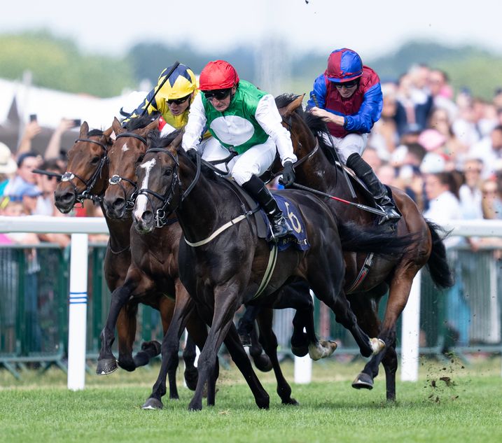 'Truly, we have been blessed with a gift from the gods' - Pyledriver's ...