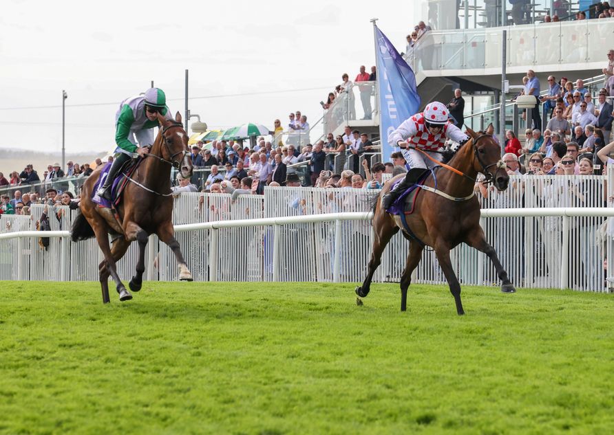 'We're hoping for a big run off a nice weight' - quotes for the ...