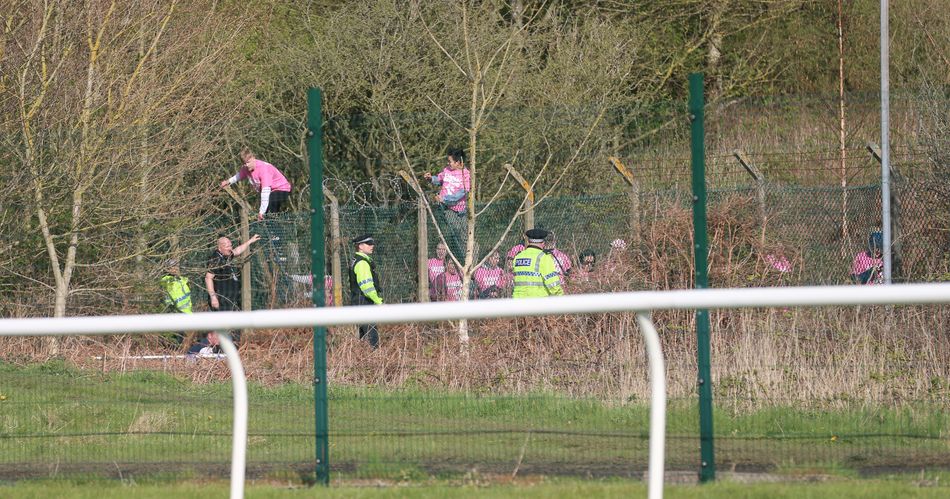 Animal Rising co-founder among 24 charged with public nuisance ...