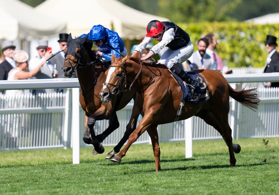 'A heart the size of a house' - Kyprios maintains the Moyglare magic ...