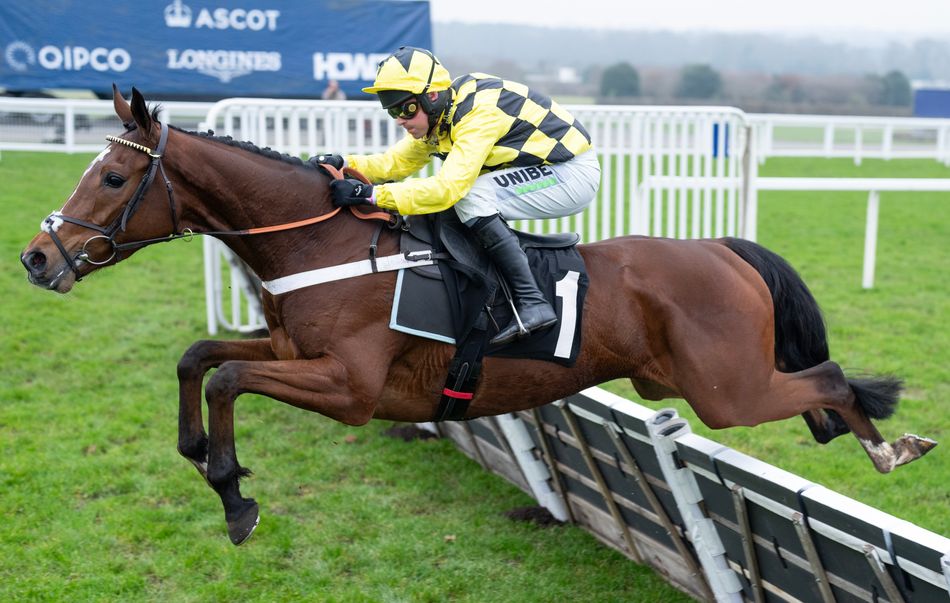 Impressive Lulamba 6-4 for Triumph Hurdle after blasting past rivals on ...