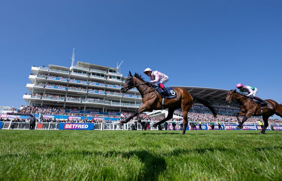 Emily Upjohn owner thrilled to be among King George big guns as ...