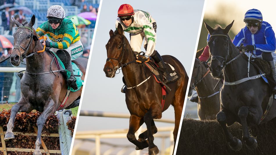 Assessing the contenders for the Racing Post Novice Chase at Naas on ...