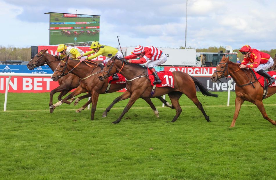 'On his Nottingham run he should have a very good chance' - analysis ...