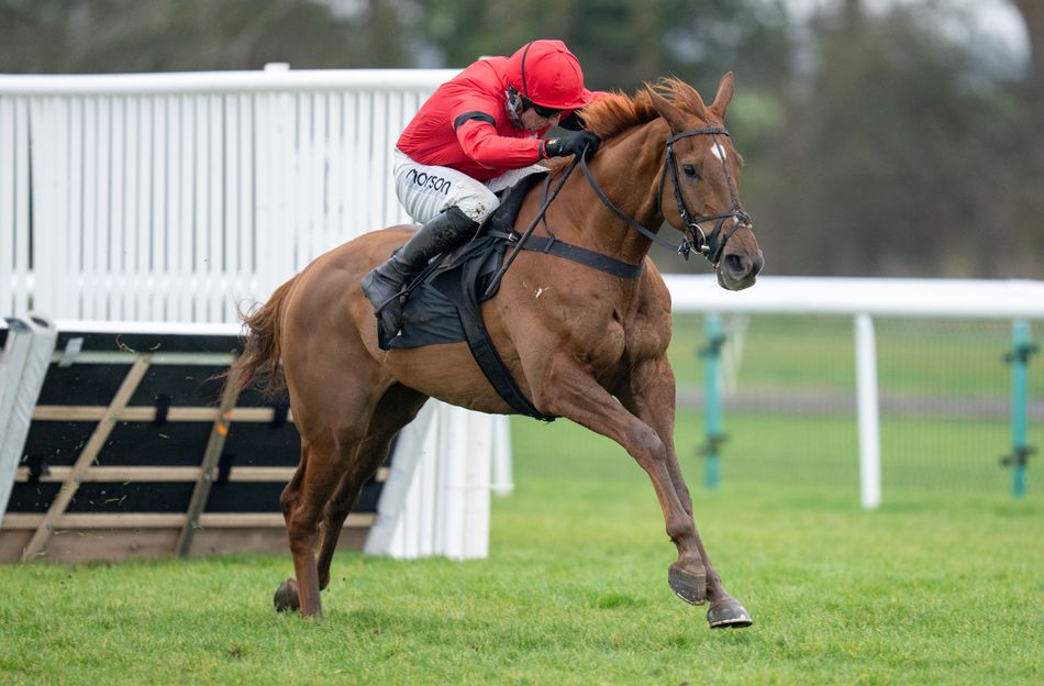 'He's in the Supreme but he's also handicapped now' - options for ...