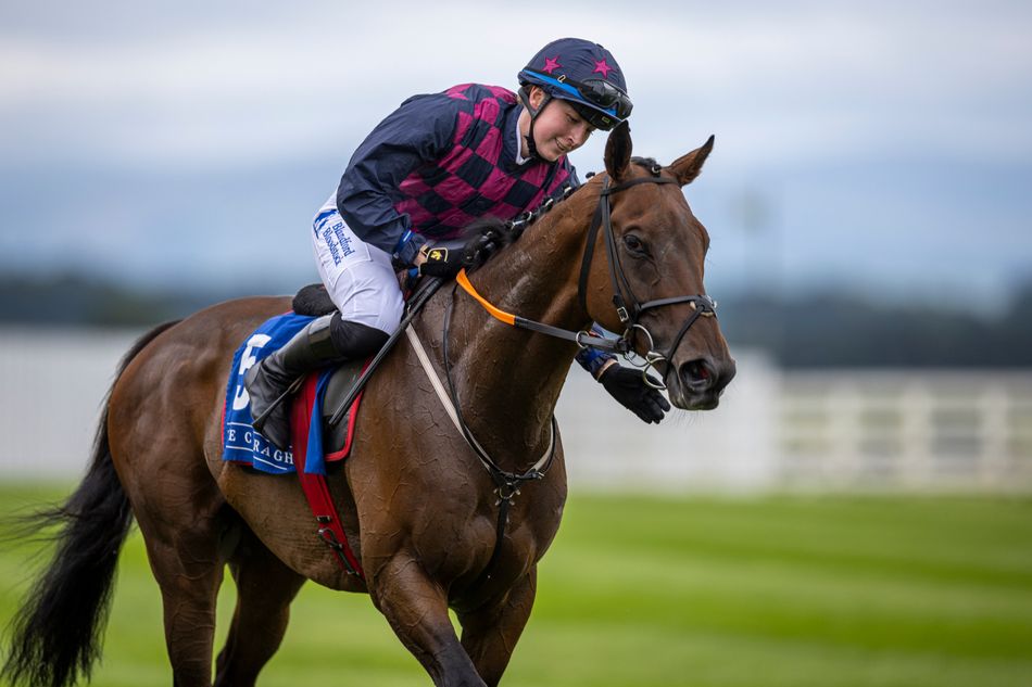 Saturday updates: ante-post favourite The Lion In Winter out of ...