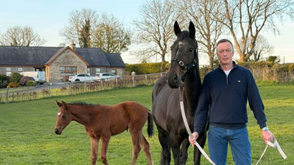'It was emotional’ - Aintree winner Storming George provides precious ...