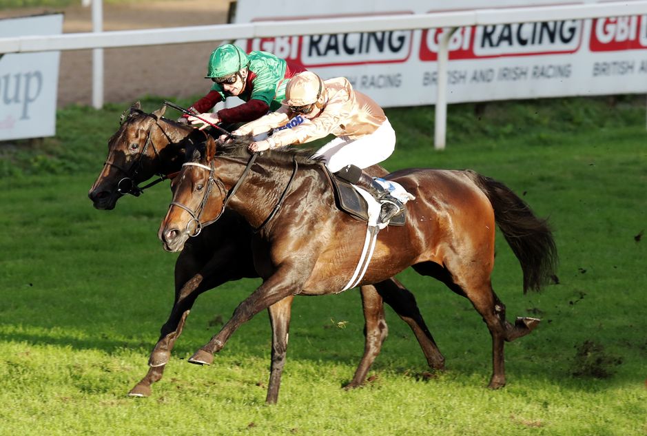 Italy could be wiped off European racing map unless Pattern Committee ...