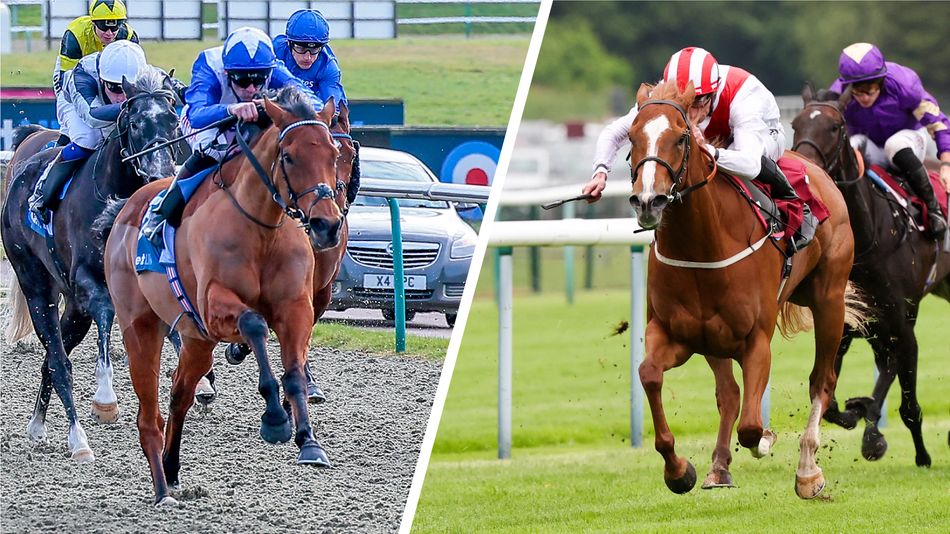 Saturday's Racecards: 4 Notable Entries From Ascot, Haydock and More ...