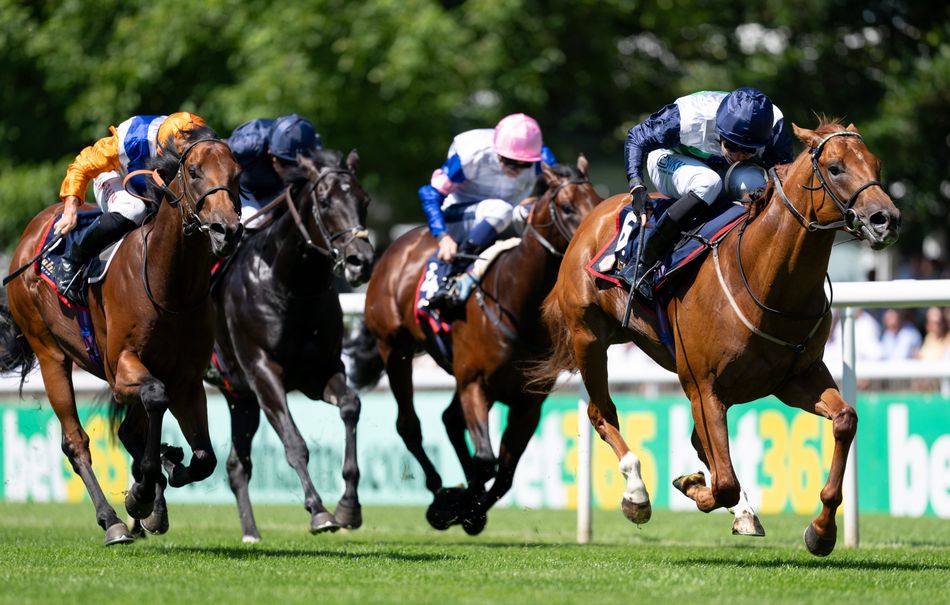 Eve Johnson Houghton pitches 'probably the bets horse I've trained ...