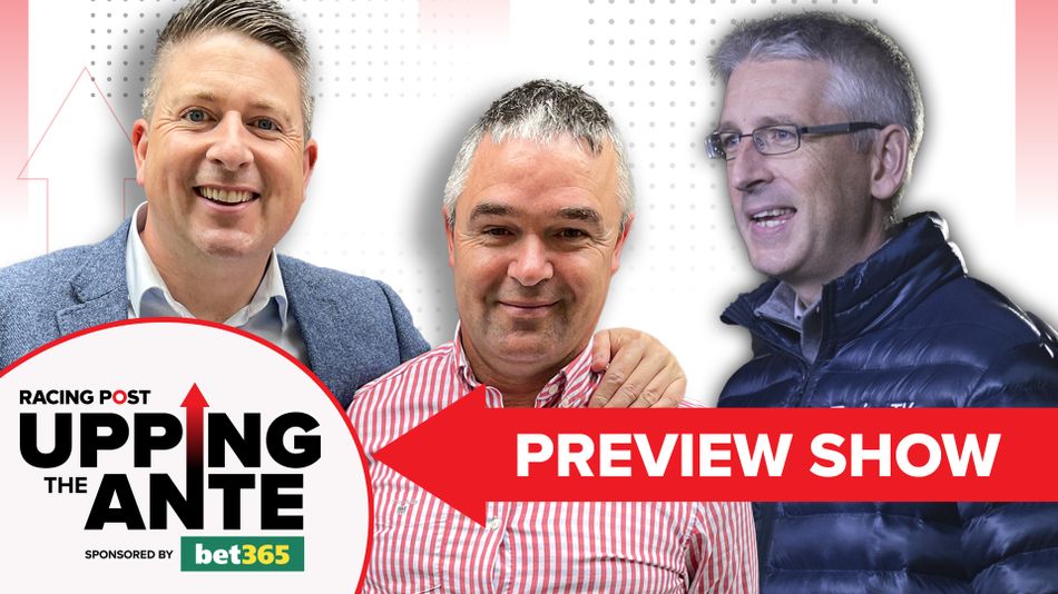 Watch: Upping The Ante Cheltenham preview show with David Jennings ...