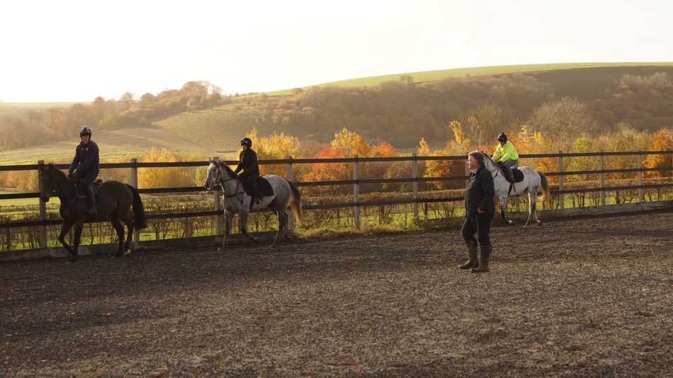 Milton Harris's assistant Tony Charlton granted temporary licence with ...