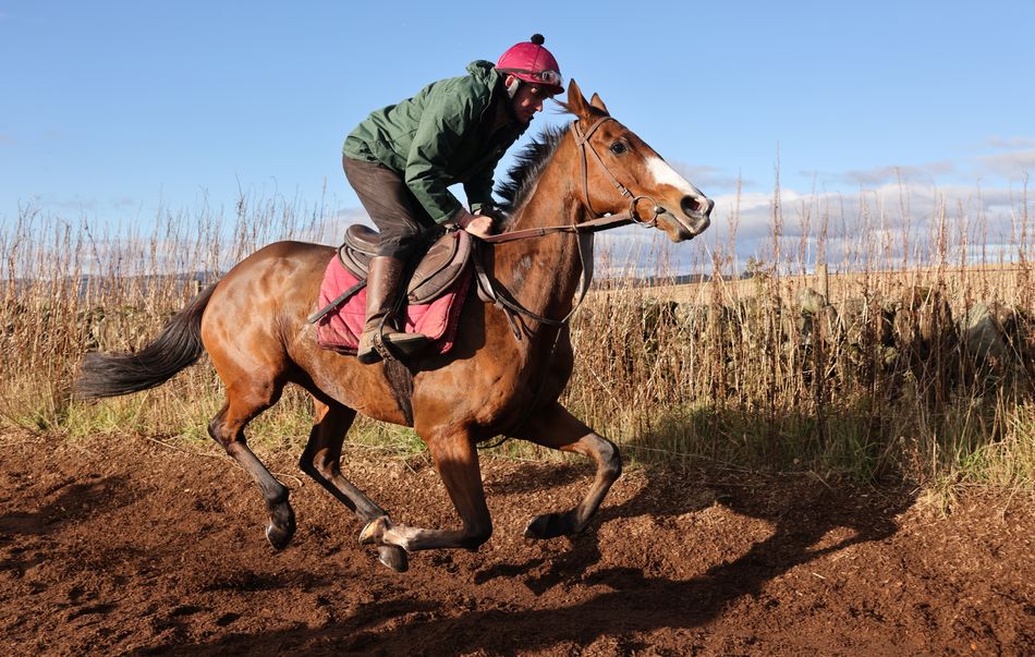 Derek Fox believes Grand National winner Corach Rambler deserves his ...