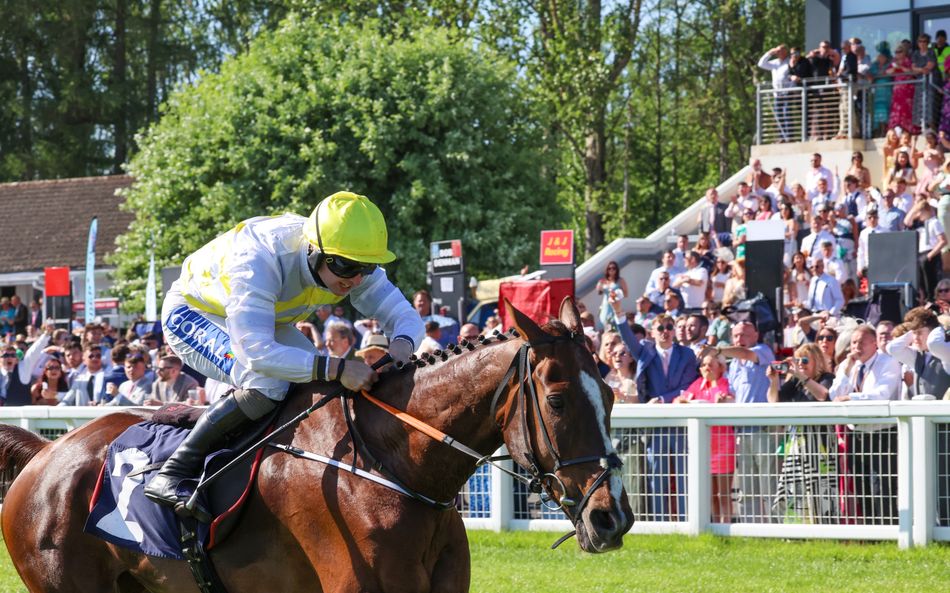 Stump Or Slips completes four-timer to remain undefeated for Olly ...