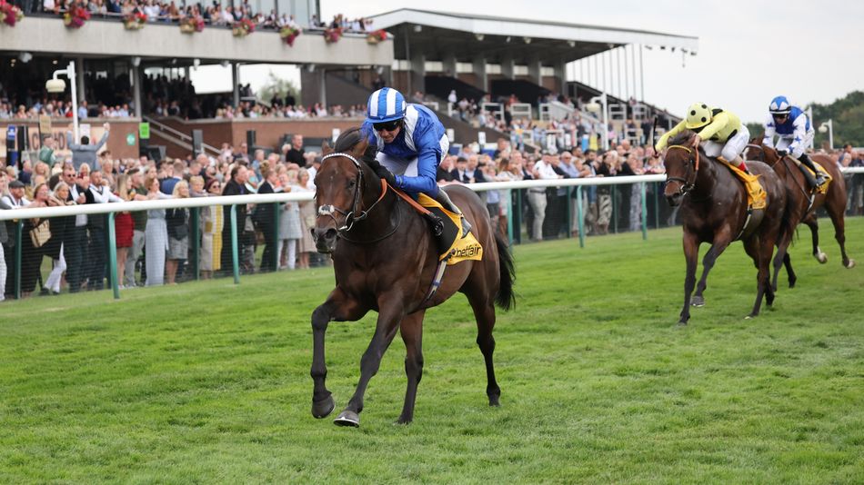 Who will win the 2023 Betfair Sprint Cup at Haydock based on previous ...