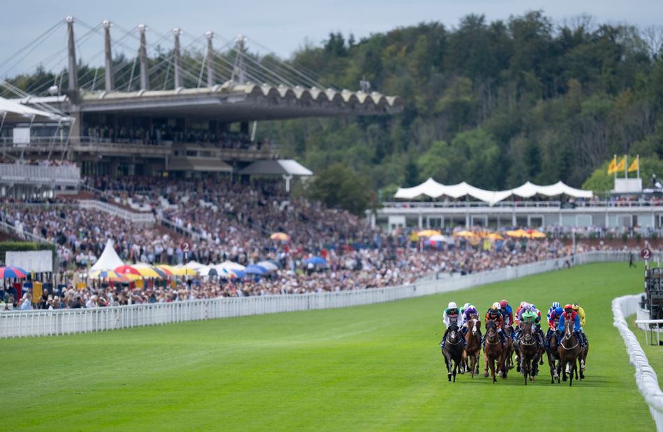 'It could be catastrophic for the sport' - punters and racing urged to ...
