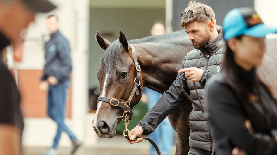 'The family has been good to me' - Italian connection strikes to land ...