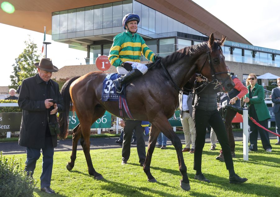 Cheltenham hero Puturhandstogether holds off fast-finishing 66-1 ...