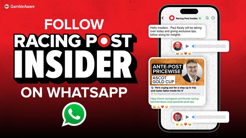 The Racing Post is now on WhatsApp - and here's how you can follow our ...