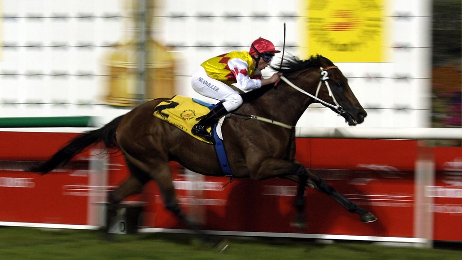 Death of champion racehorse and Group 1-winning sire Elvstroem aged 24 ...